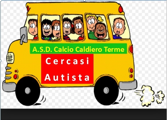 SI CERCA UN AUTISTA PER IL PULMINO SI CERCA UN AUTISTA PER IL PULMINO